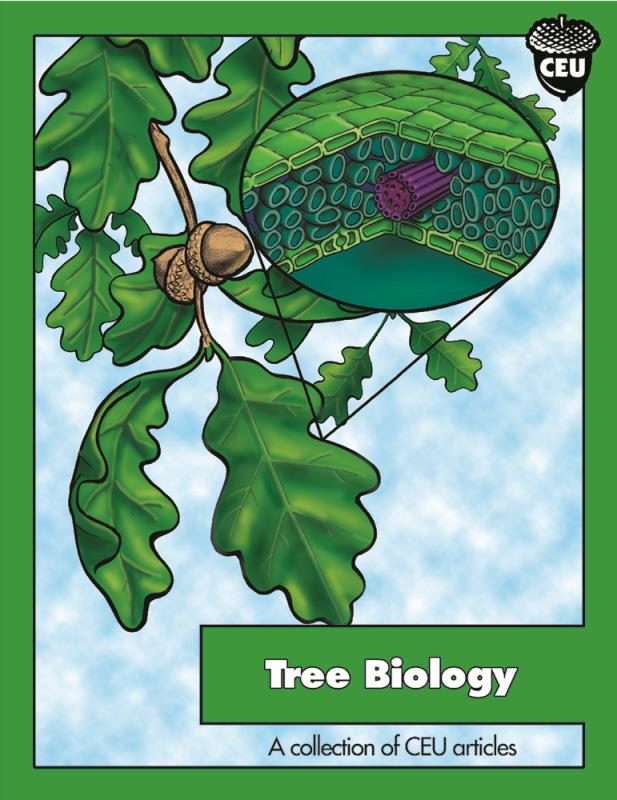 COCA Tree Biology Bundle | ISA Prod